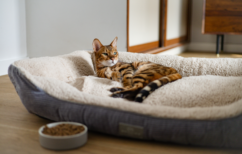 Yarrah x Beddie Giveaway - How to Enter and Win