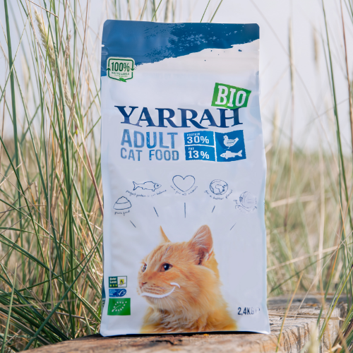 Wat te doen als mijn kat vlooien heeft: tips & advies | Yarrah