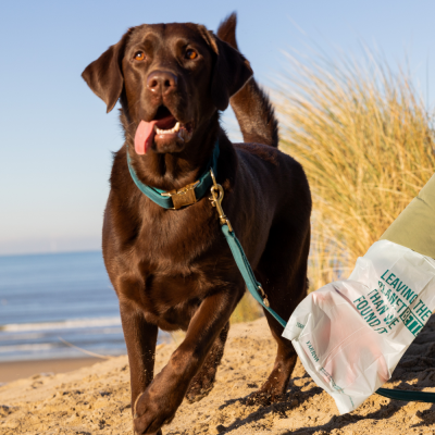 Compostable Poo Bags | Yarrah Organic Petfood