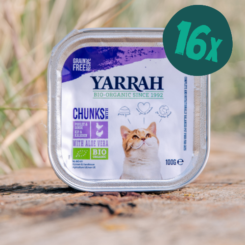 Wat is lintworm bij een kat en hoe kun je het herkennen?