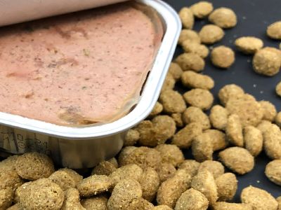 Wet food or kibble: what is more sustainable? | Yarrah